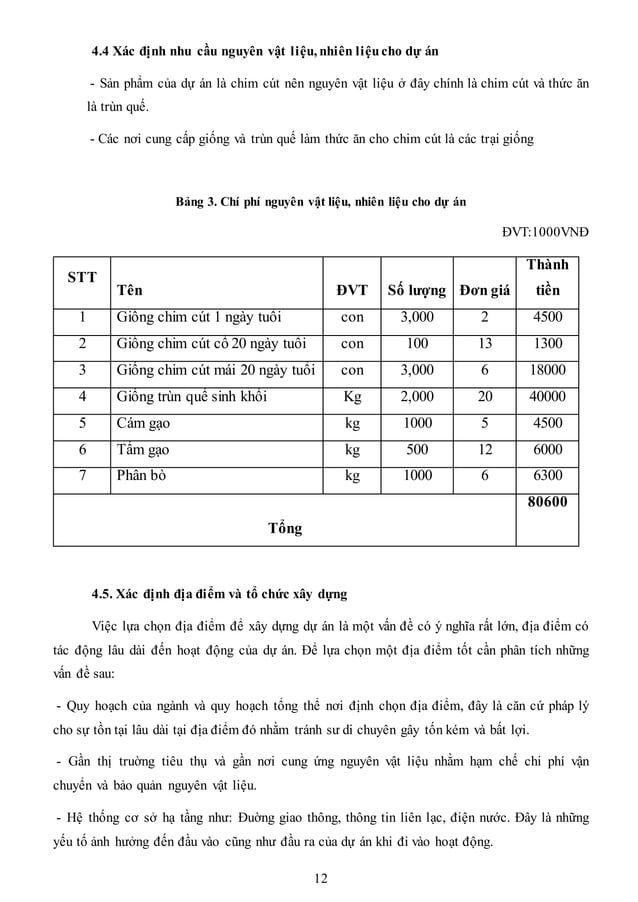 Nhóm 4_08KTTN_Tiểu luận Quản trị dự án.docx