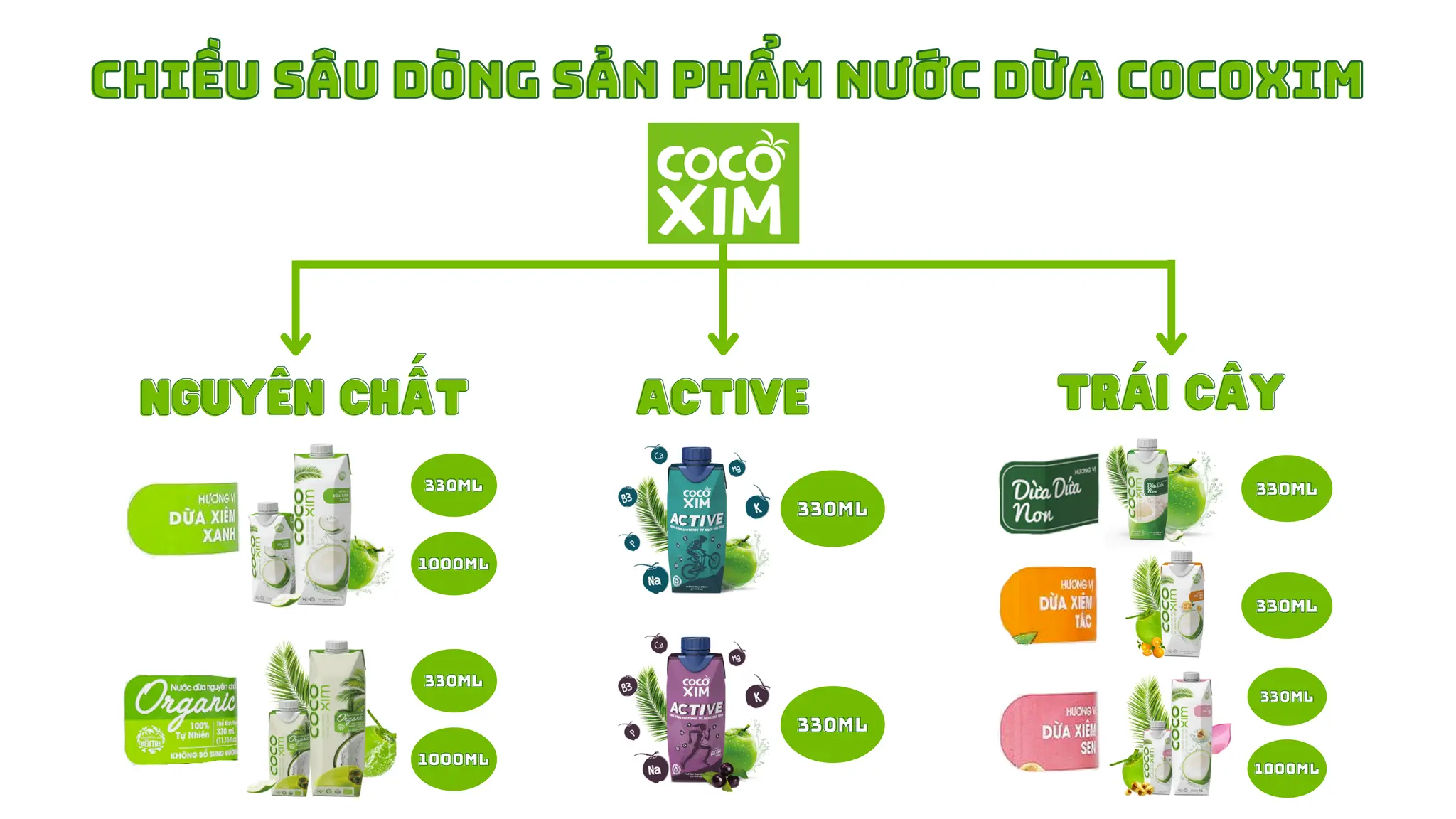 Chiến lược sản phẩm của dòng sản phẩm nước dừa Cocoxim | PDF