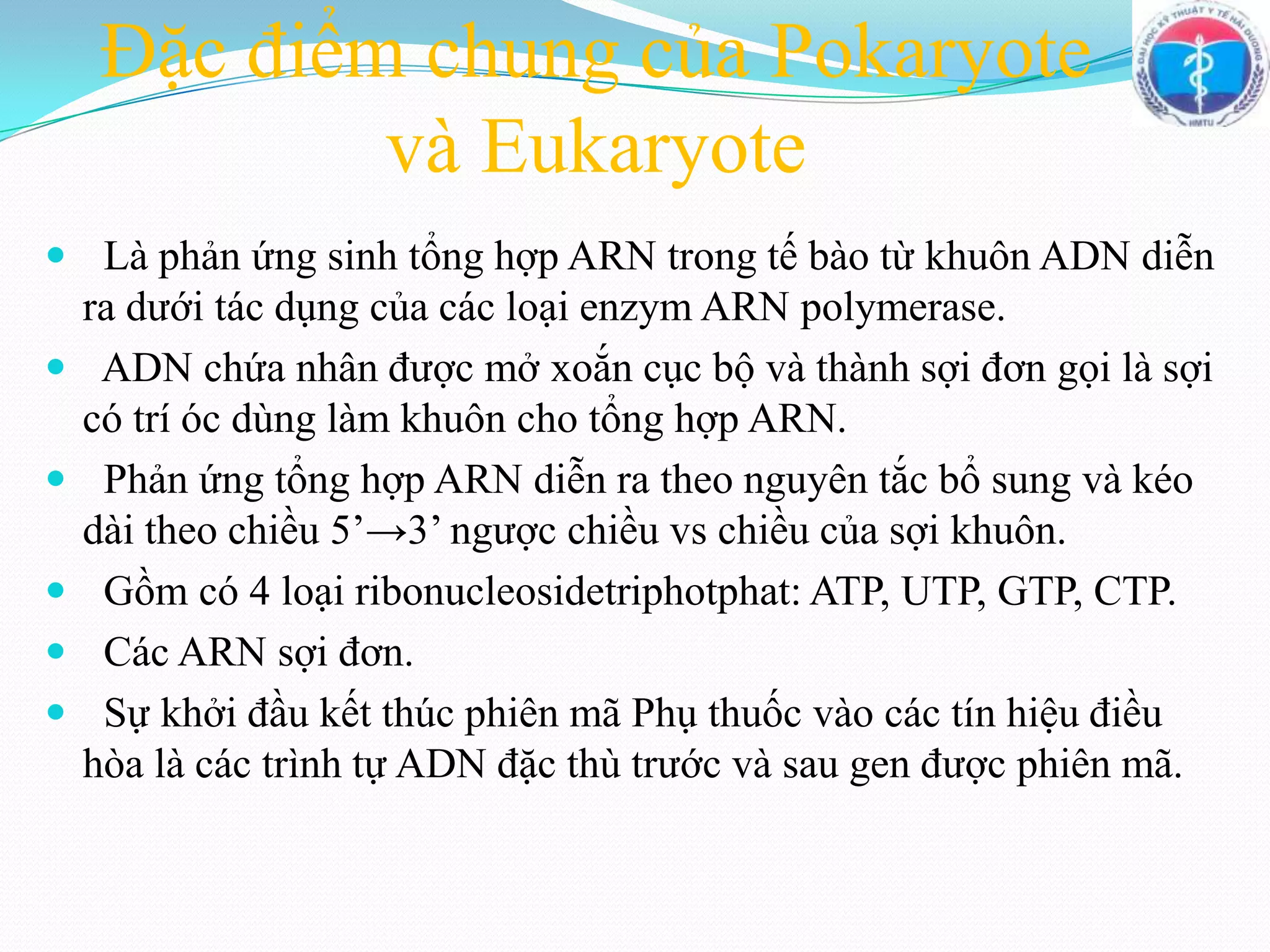 Nhân đôi ADN và tổng hợp ARN | PPTX