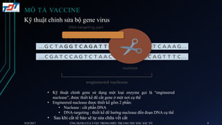 T-VEC TRONG ĐIỀU TRỊ UNG THƯ | PPT