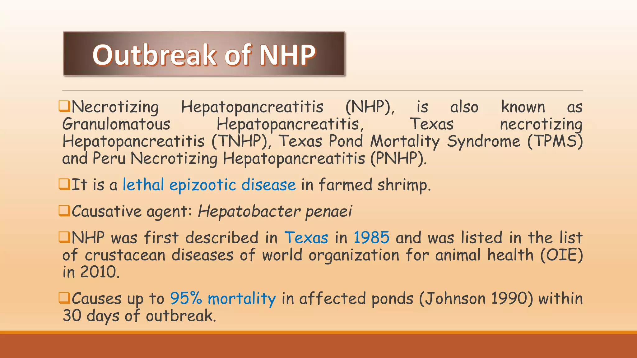 NHP - Necrotizing Hepatopancreatitis | PPTX