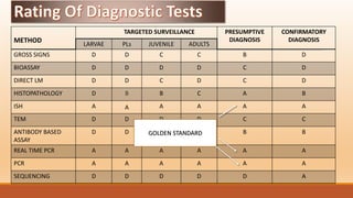 NHP - Necrotizing Hepatopancreatitis | PPTX