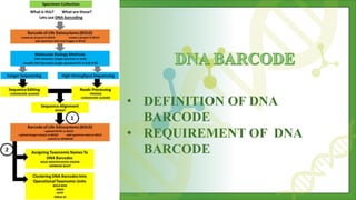 APPLICATION OF DNA BARCODING TO AUTHENTIC PANAX VIETNAMENSIS.pptx