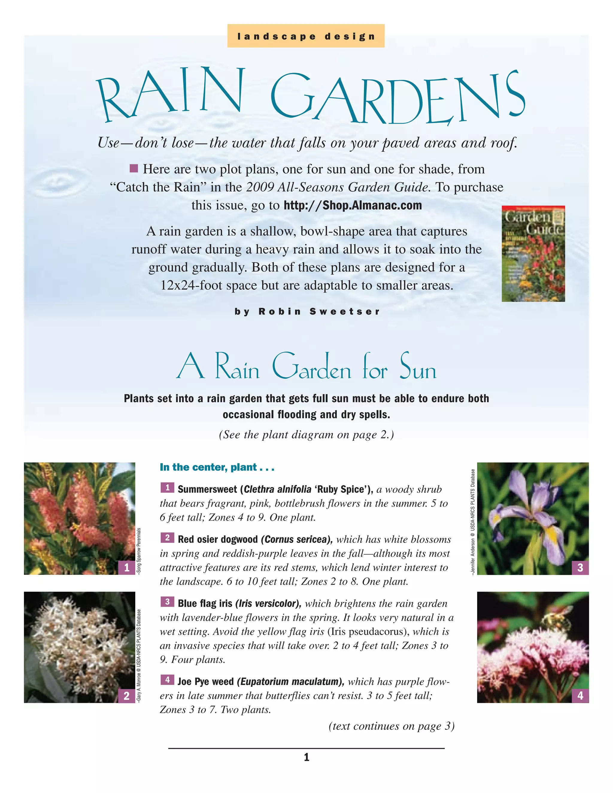 NH: Rain Garden Landscape Design | PDF