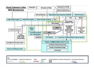 Nhs diagrams | PPTX | Medical Health