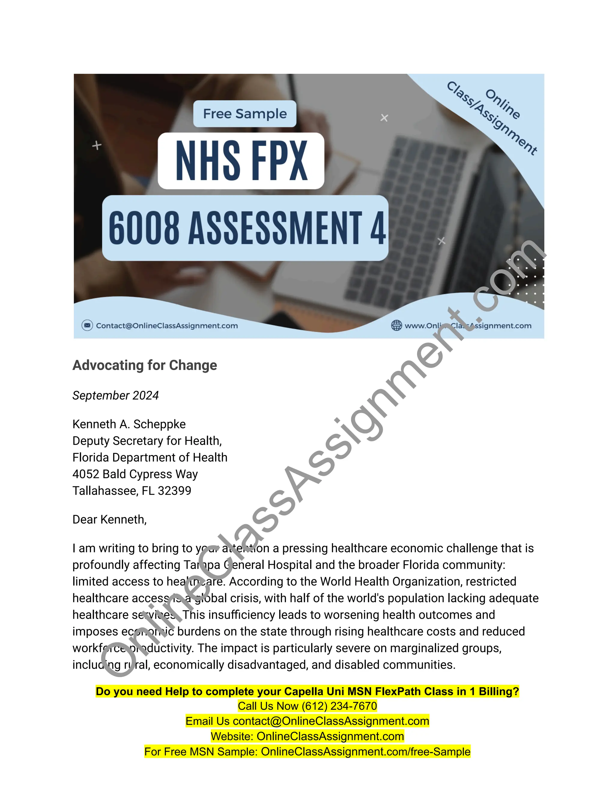 NHS FPX 6008 Assessment 4 Lobbying for Change.pdf