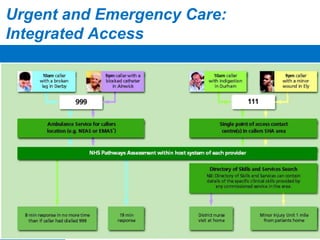 HSCIC: NHS Pathways - Intelligent Data Toolkit | PPTX