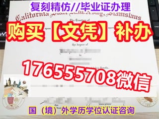 UAL毕业证 | PDF