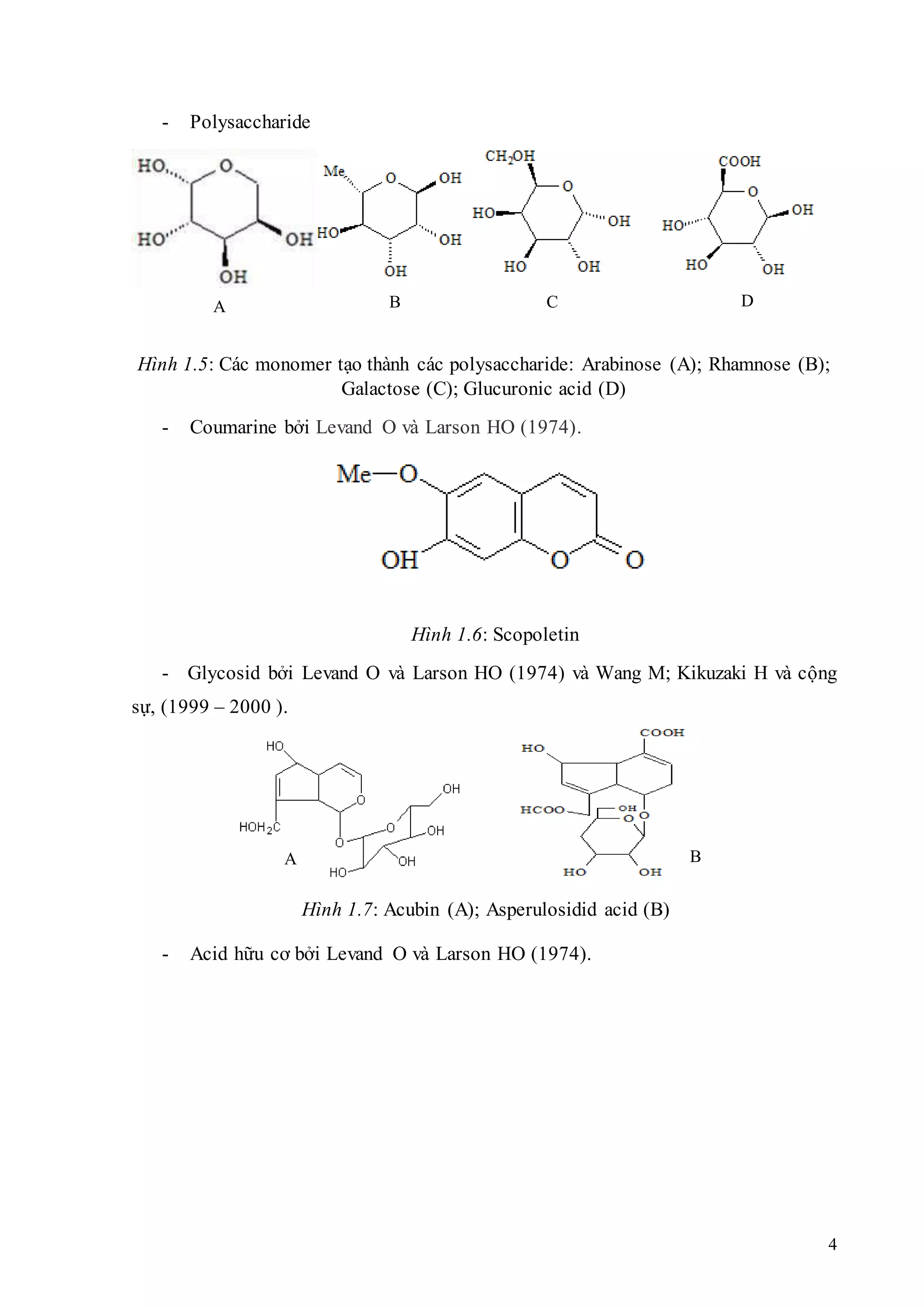 Đánh giá hàm lượng tổng phenolic và flavonoid trong quả Nhàu | DOCX