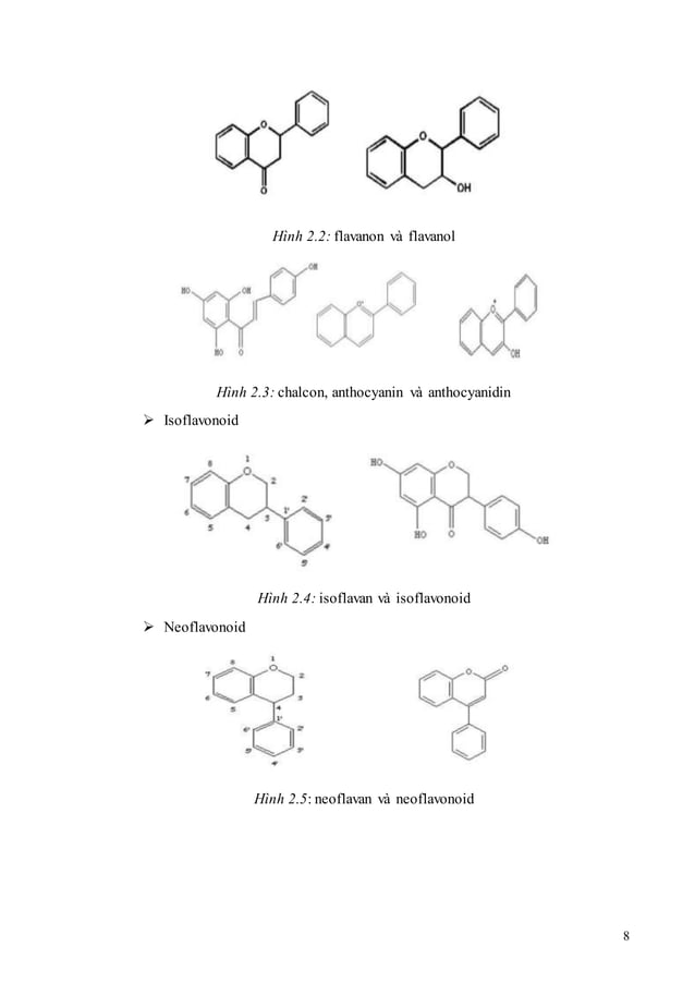 Đánh giá hàm lượng tổng phenolic và flavonoid trong quả Nhàu | DOCX