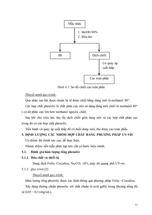 Đánh giá hàm lượng tổng phenolic và flavonoid trong quả Nhàu | DOCX