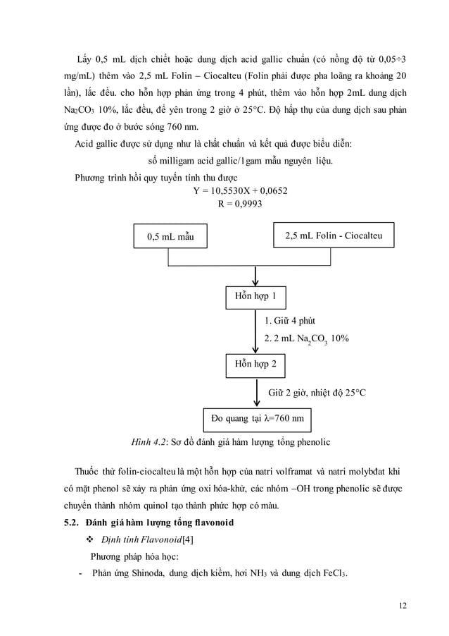 Đánh giá hàm lượng tổng phenolic và flavonoid trong quả Nhàu | DOCX