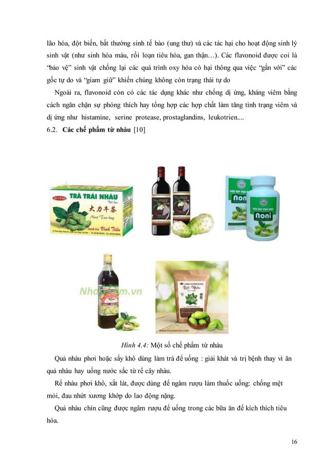 Đánh giá hàm lượng tổng phenolic và flavonoid trong quả Nhàu | DOCX