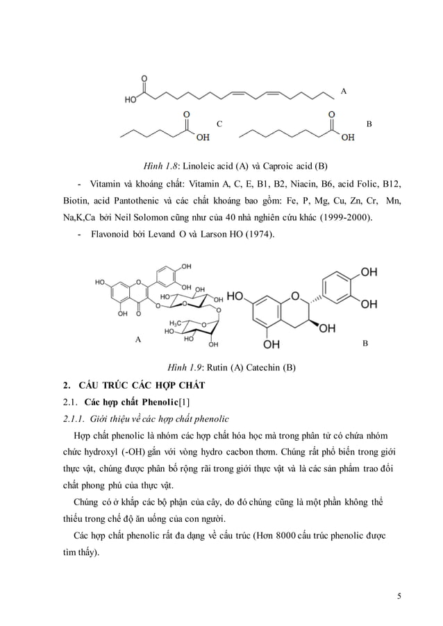Đánh giá hàm lượng tổng phenolic và flavonoid trong quả Nhàu | DOCX