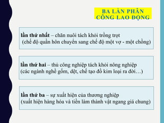 NHUNG.VAN.DE.CO.BAN.VE.NNzzzzzzzzzzz.pdf