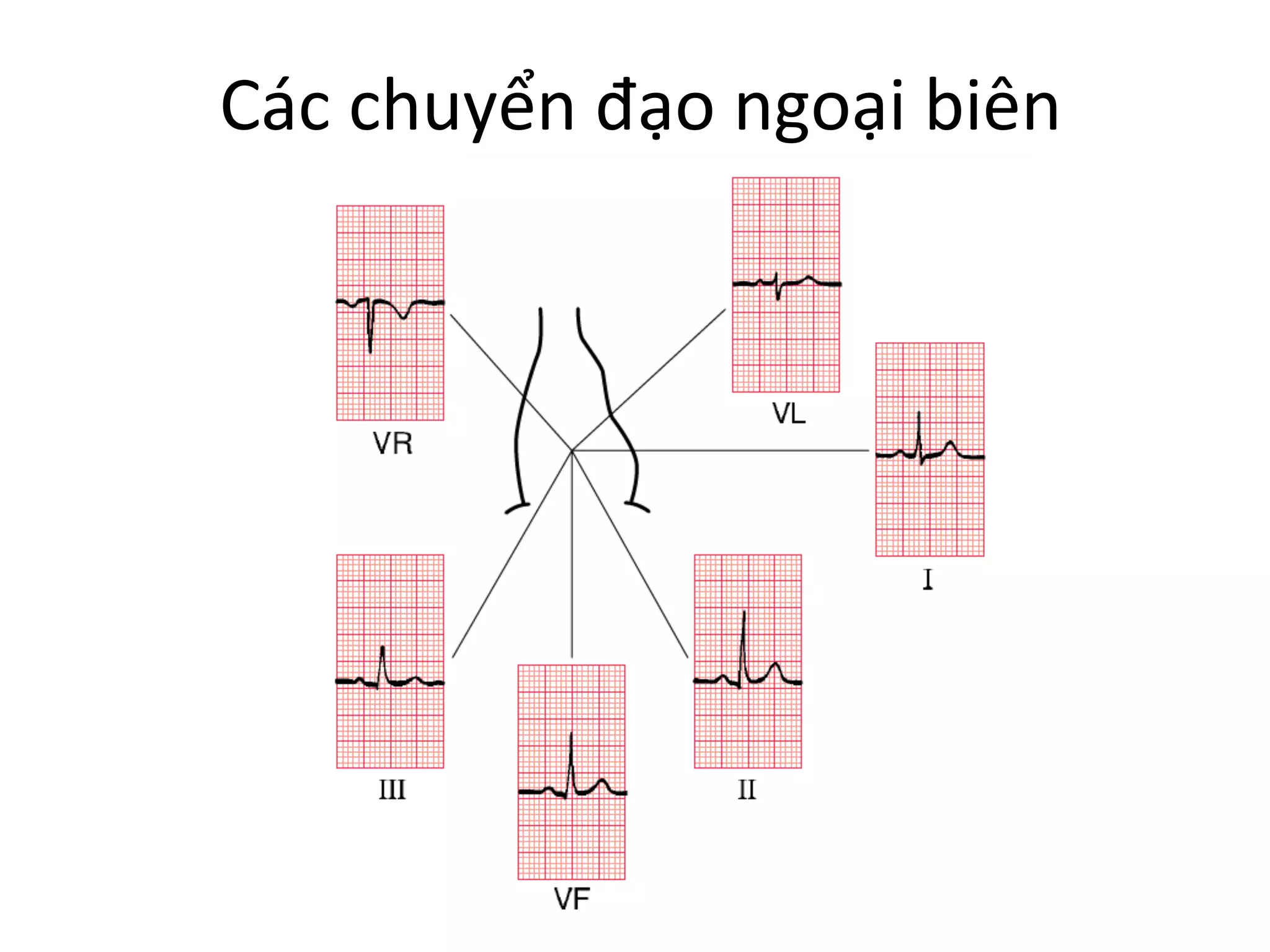 Nhung van-de-co-ban-ve-dien-tam-do | PDF