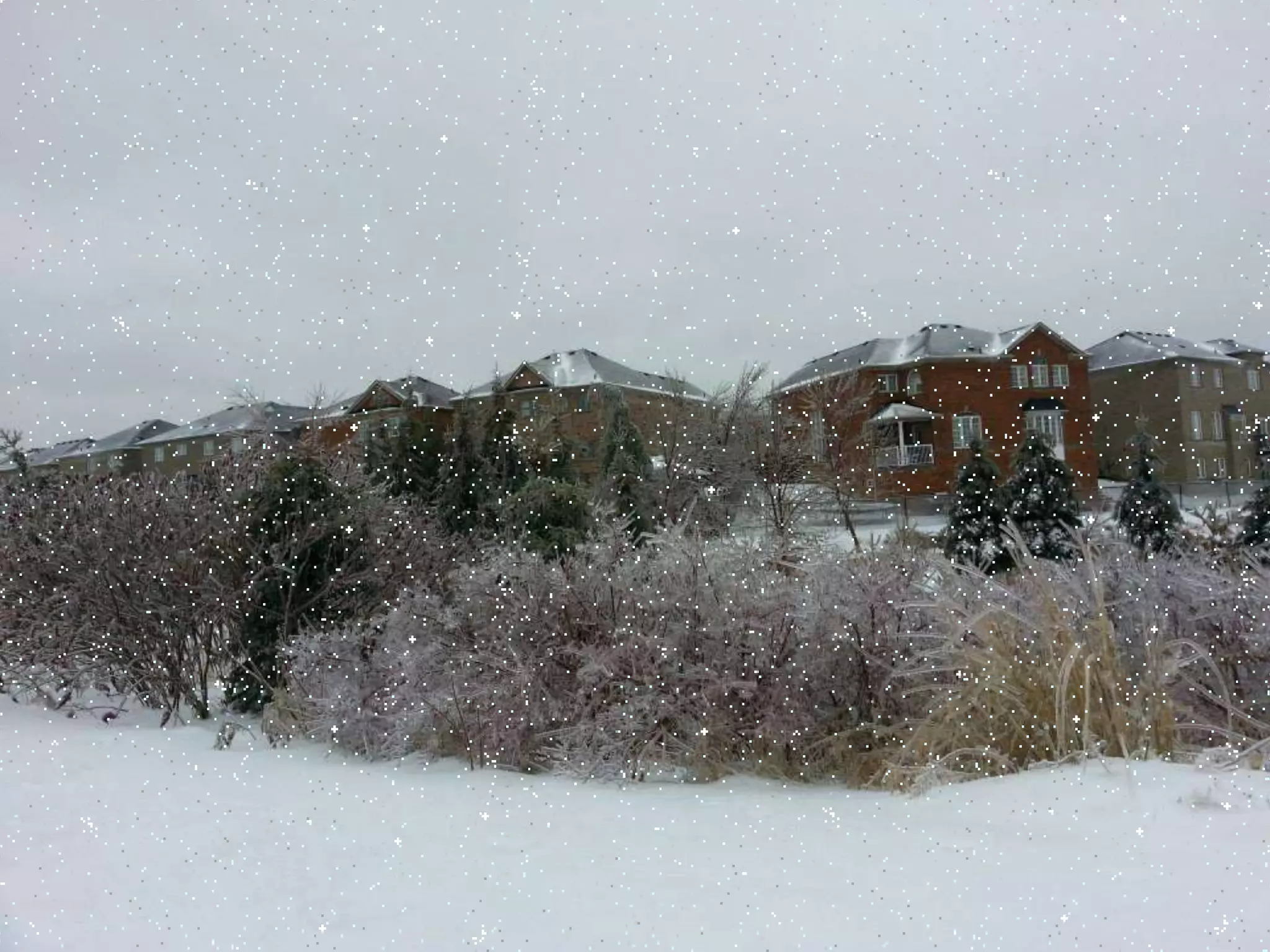 Nhung canh tuyet roi o Canada so voi Colorado-Tombe la neige (Lời Việt ...
