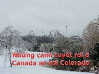 Nhung canh tuyet roi o Canada so voi Colorado-Tombe la neige (Lời Việt ...