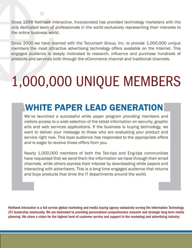 NetHawk Media Kit | PDF