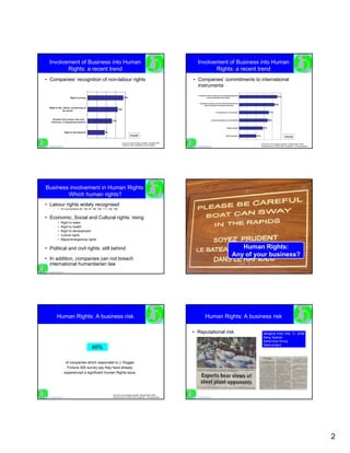 An Overview of Business and Human Rights | PDF