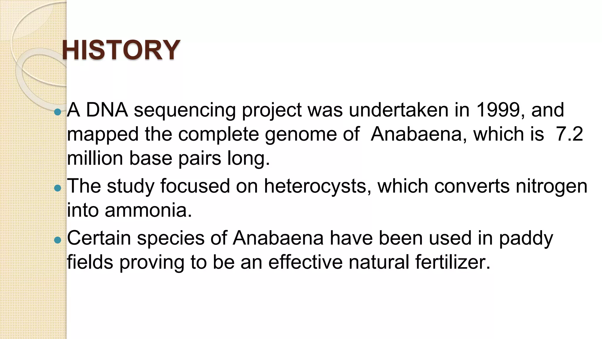 Azolla and Anabena symbiosis | PPTX
