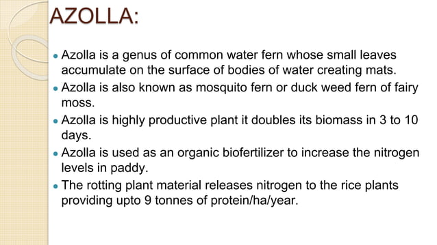 Azolla and Anabena symbiosis | PPTX