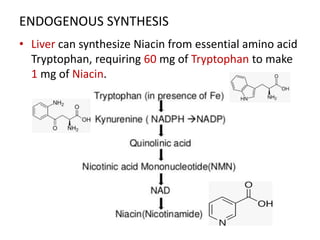 Niacin Vitamin B3 | PPTX