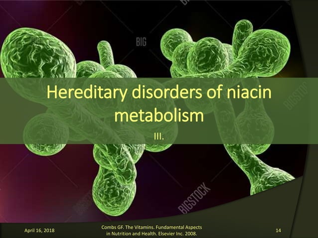 Niacin deficiency and toxicity | PPSX