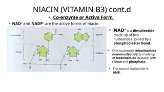 Niacin & Vitamin C metabolism and Deficiency Manifestations | PPTX