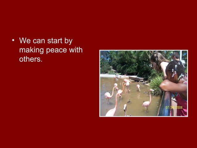 Nia's Peace Project | PPT
