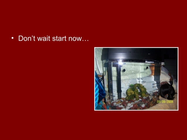 Nia's Peace Project | PPT