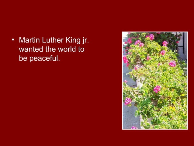 Nia's Peace Project | PPT