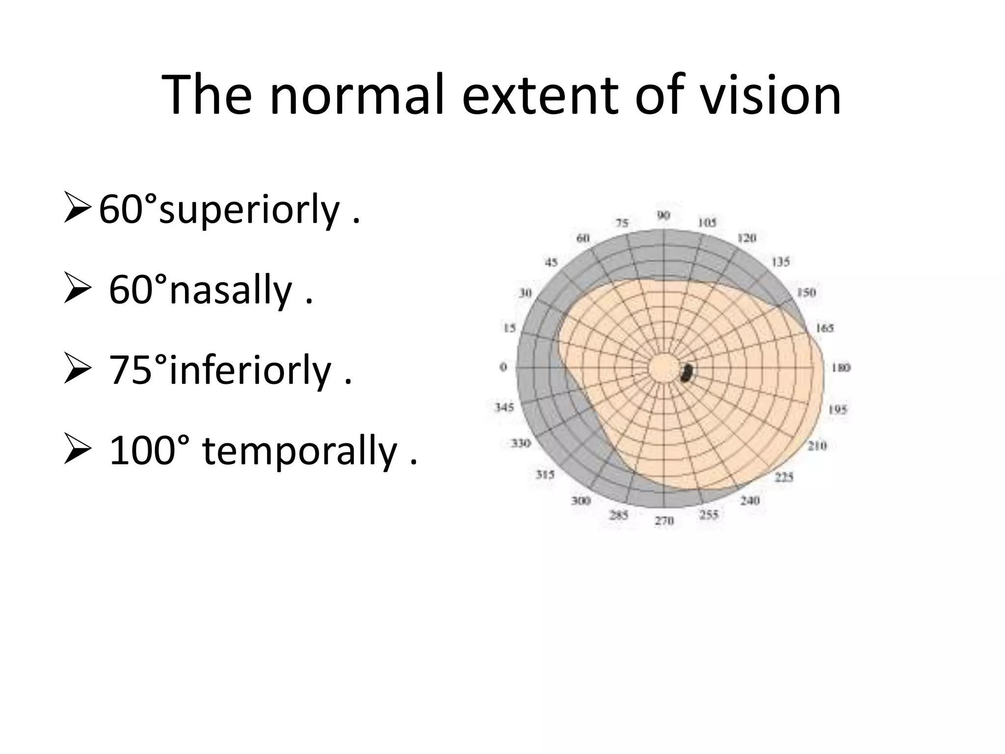 Visual field defects | PPTX
