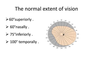 Visual field defects | PPTX