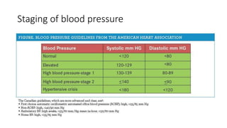 Nibp and oxygen analyser | PPT