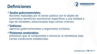 Normas Contabilidad NIC 20 Y NIC 21 2024.pptx