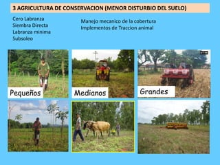 Estado, prioridades y necesidades para el manejo sostenible del suelo ...