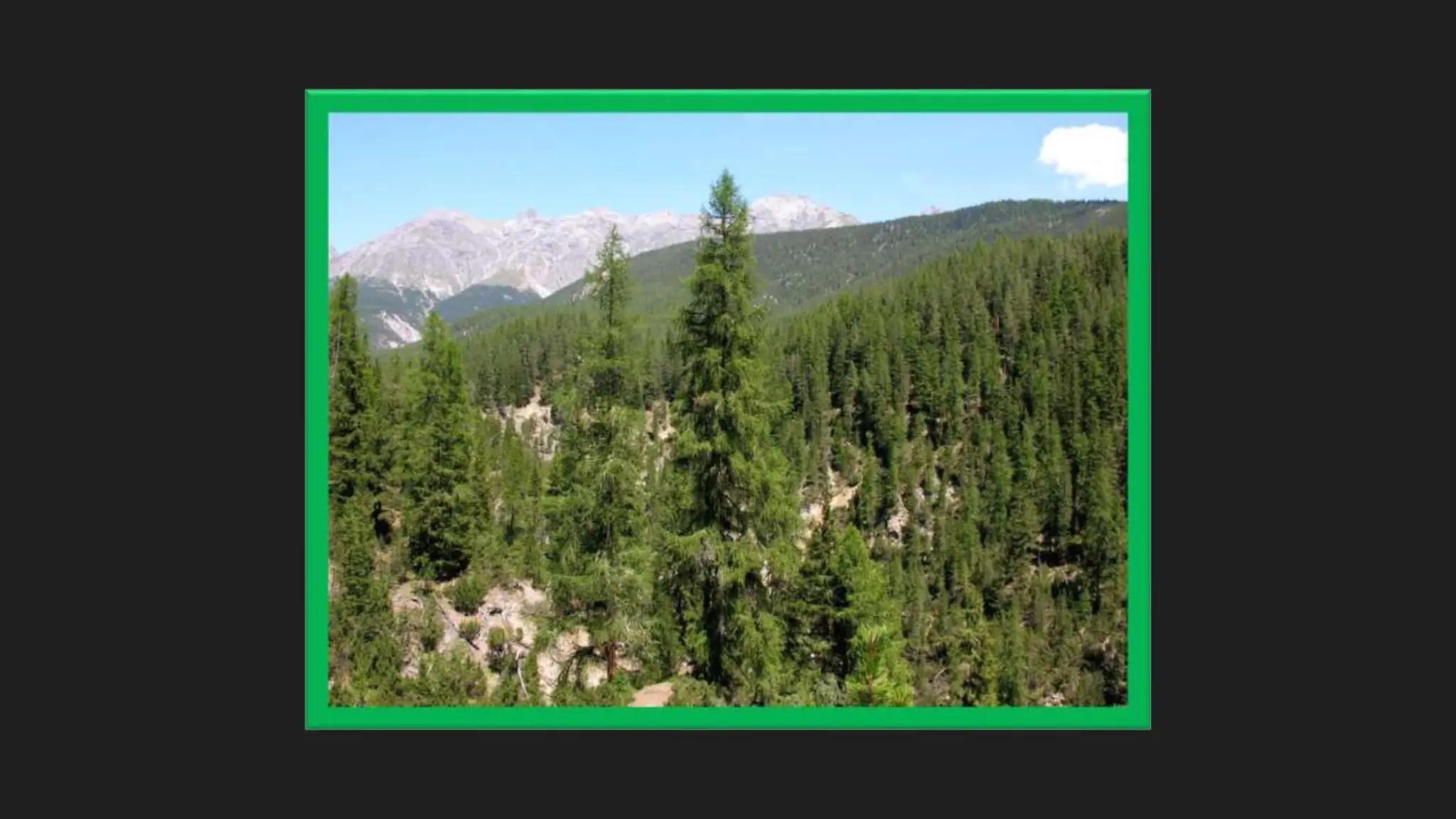 Principles of Ecosystem - Earth and life science | PPTX