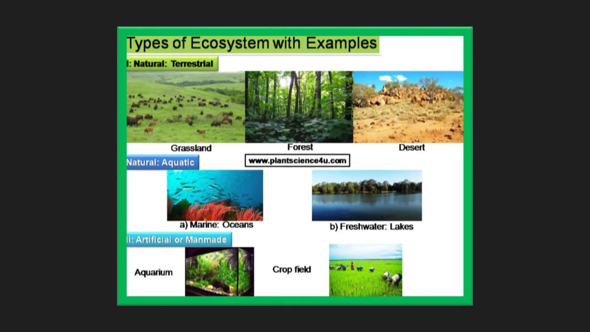 Principles of Ecosystem - Earth and life science | PPTX