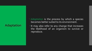 Principles of Ecosystem - Earth and life science | PPTX