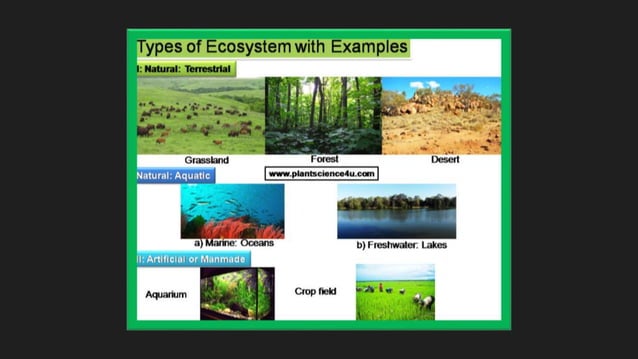 Principles of Ecosystem - Earth and life science | PPTX