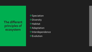Principles of Ecosystem - Earth and life science | PPTX
