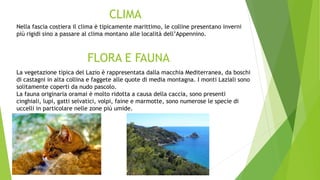 Niccolini - Lazio | PPTX