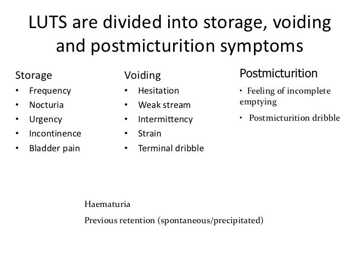 Nice guidance for luts management for g ps presentation 2012 02-08