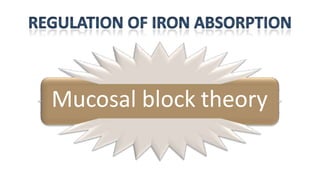 Mineral Iron Biochemistry | PPTX
