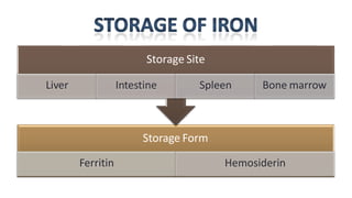 Mineral Iron Biochemistry | PPTX