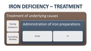 Mineral Iron Biochemistry | PPTX