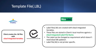 Nicelabel Integration.pptx