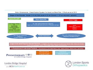 NICE Guidelines for Low Back Pain & Sciatica - A Useful Tool or a NHS ...