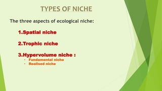 Niche .pptx